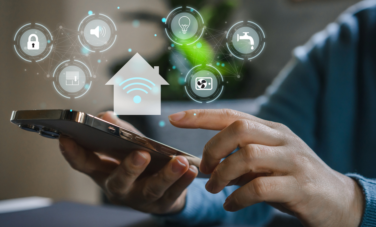 Shelly - Berkeley Communications